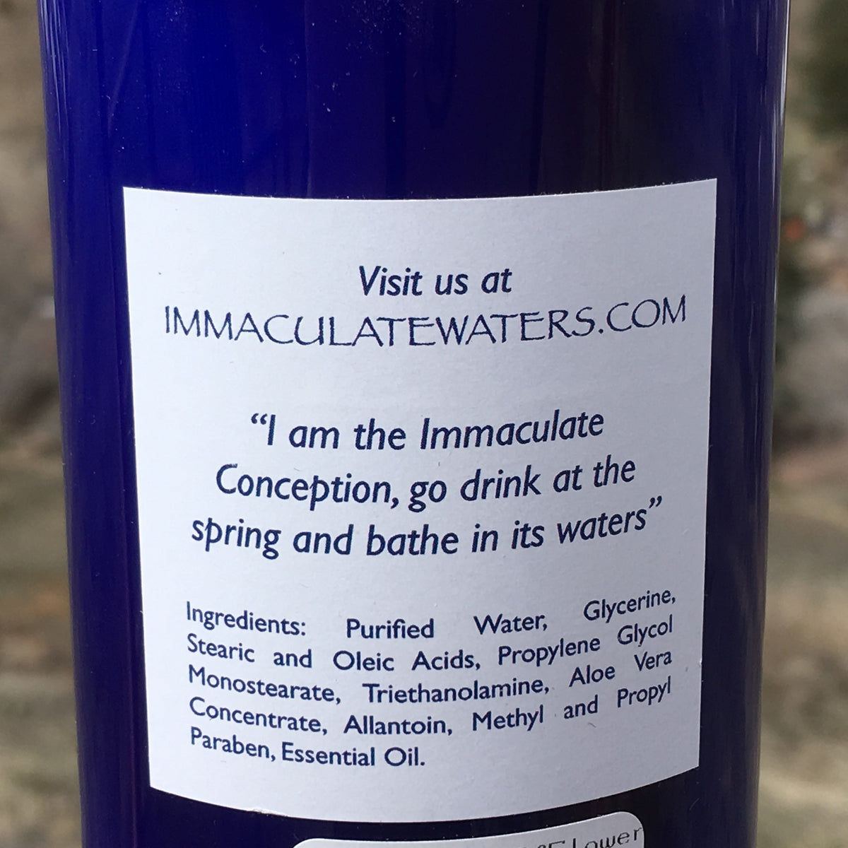 Immaculate Waters Hand and Body Lotion – Shop Cabrini